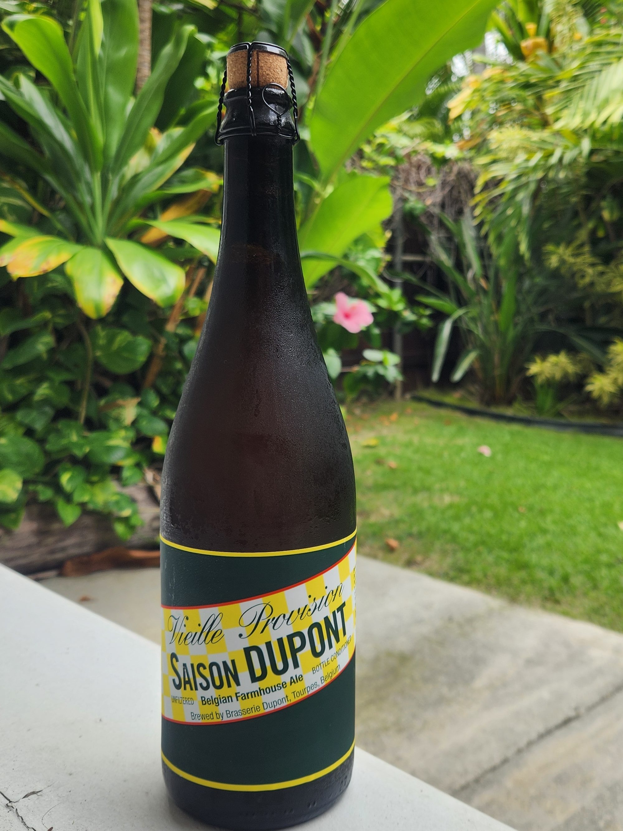 Saison Dupont: June Beer of the Month